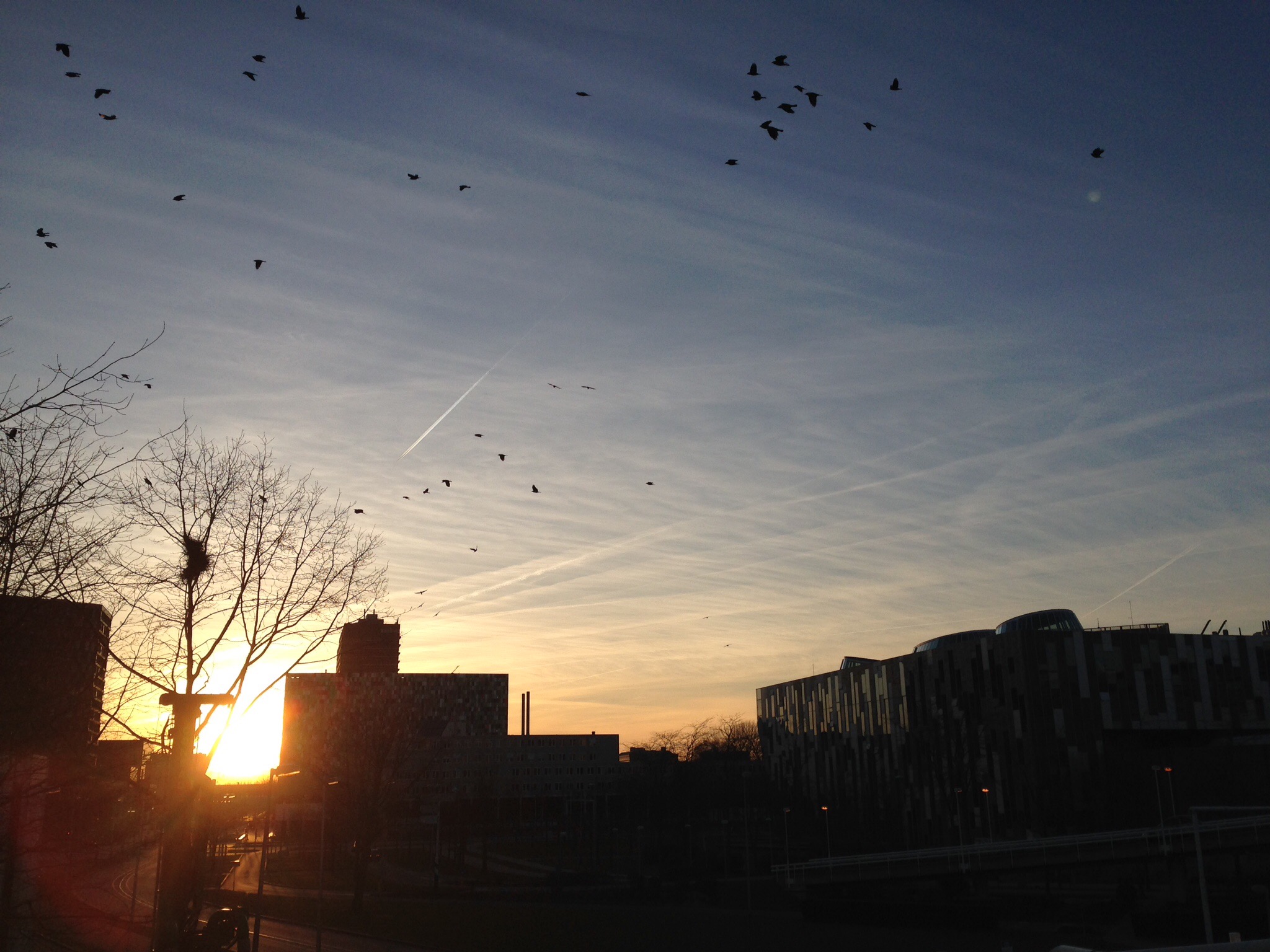 Rustig plekje – LEEUWENHART KRIJN